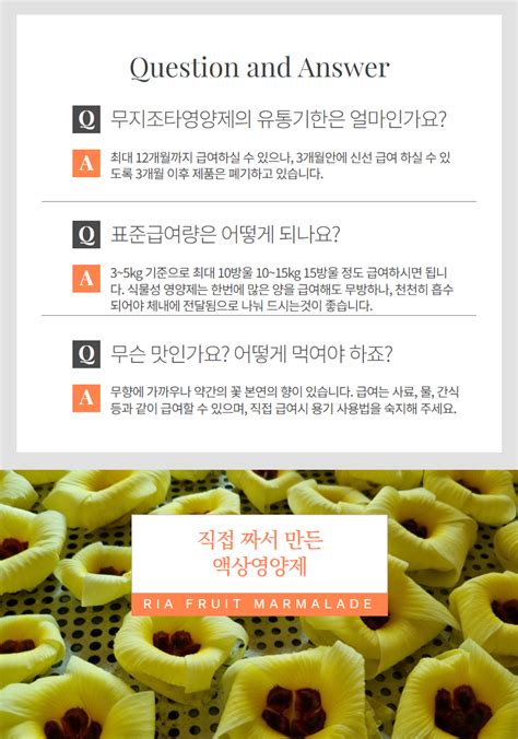 제품캠페인 매일매일 새로운 미션 인플루언서 마케팅 셀리뷰