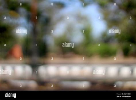 Abstract Blurry Background Nature Park Outdoor View In Bookeh Effect