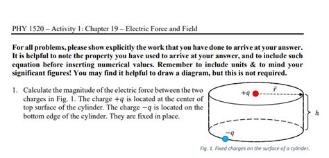 SOLVED PHY Activity Chapter Electric Force And Field SolutionInn