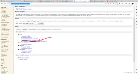 Tomcat服务器启动后闪退解决方法 Windowswindows Tomcat启动闪退 Csdn博客
