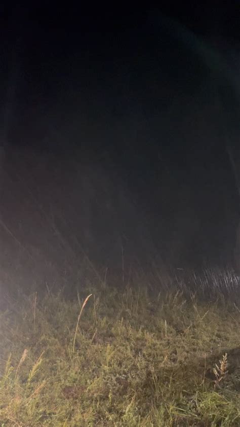 Эцсийн эцэст ганц бие байх сонголтыг хэн ч хүсэж гаргадаггүй юм шүү🤱🏻