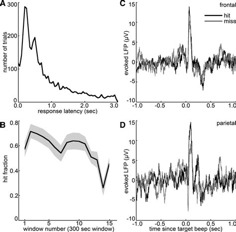 Auditory Detection Task And Evoked Local Field Potentials Lfps A Download Scientific