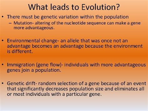 Evolution Types Of Evolution Microevolution Evolution Within A