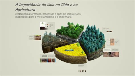 A Importância Do Solo Na Vida E Na Agricultura By Thamyres Barreto