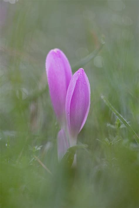 Membuat Mock Object Dengan Proxy Di Java By Ichwan Sholihin Medium