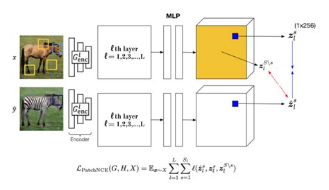 A Review Of Contrastive Learning For Unpaired Image To Image Translation By Erkam Medium