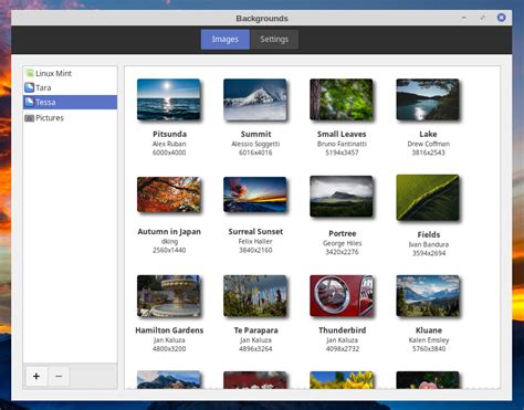 How To Customize The Cinnamon Desktop Environment