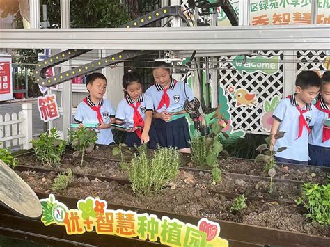 畅学编程助力全国各地学校开课啦！