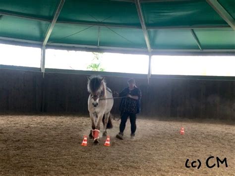 1 Dc436 A5 4395 40 F4 A2 Bc 23 Ea0412 B4 E5 Hosted At Imgbb — Imgbb