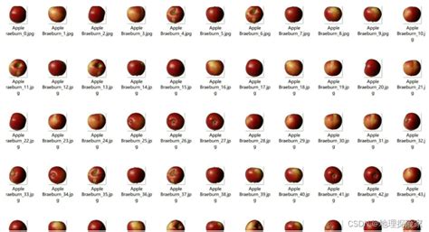 深度学习——植物、农作物图像数据集大合集农作物数据集 Csdn博客