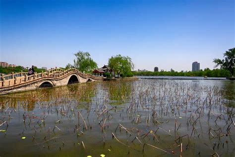 山東濟南大明湖 每日頭條