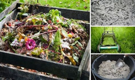 Helpful Composting Tips Every Gardener Should Know