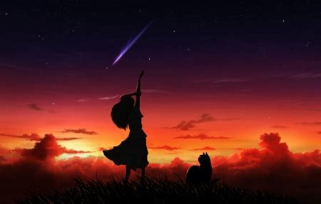 黄色 夕阳 女孩 猫 流星 星空 4k动漫壁纸彼岸图网