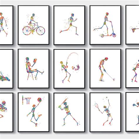 Human Anatomy Skeleton Poster Etsy