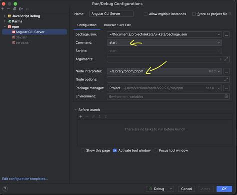 Running Pnpm With Webstorm Datmt