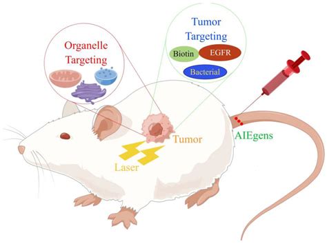 Biosensors Free Full Text Aggregation Induced Emission Luminogens For Enhanced Photodynamic