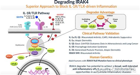全球首个非肿瘤protac药物1期临床成功 Kymera和赛诺菲是怎么做到的？ 赛诺菲正在与kymera合作开发肿瘤和免疫肿瘤领域之外的kt 474 Sar444656 ，kt 474的二期