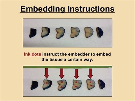 Histopathology In Practice Sample Reception Dissection Processing…