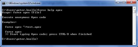 commandline running apex code from cli salesforce stack