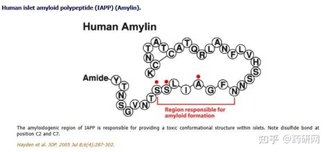 降糖减重新星：amylin 知乎