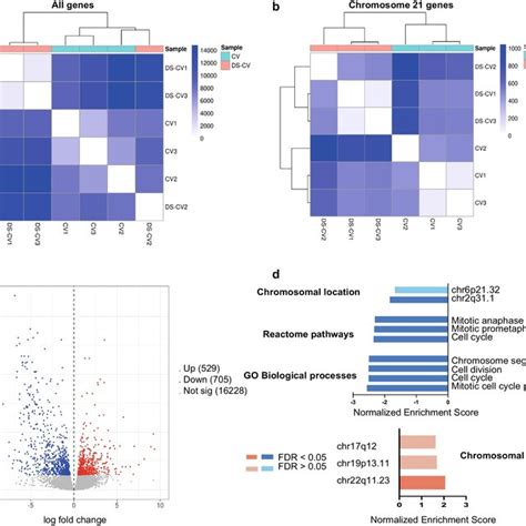 Transcriptome Analysis Reveals Deg Between Cv And Cv Ds A Heatmap Of