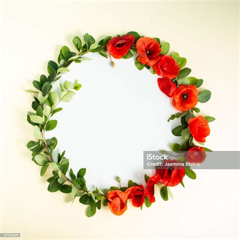 붉은 양귀비가 피어나고 모래 배경에 가지가 있는 둥근 프레임 화환 최소한의 꽃 구성 플랫 레이 공간을 복사합니다 개념에 대한 스톡 사진 및 기타 이미지 Istock