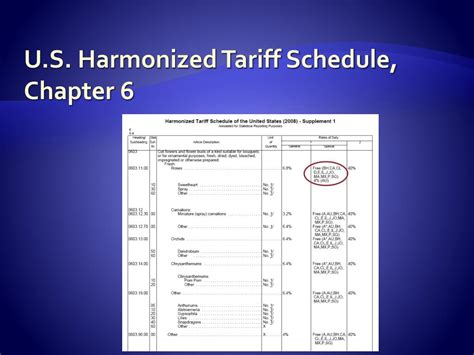 Ppt Immigration And Trade Powerpoint Presentation Free Download Id