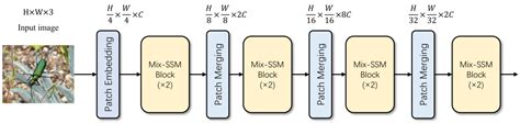 논문 리뷰 Insectmamba Insect Pest Classification With State Space Model