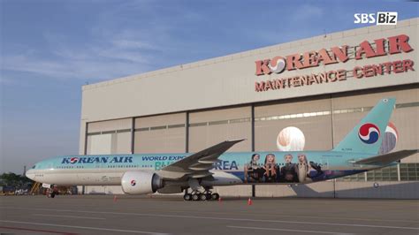 대한항공 블랙핑크 새긴 항공기 공개부산엑스포 유치 기원 Sbs Biz