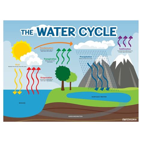 What Are The Parts Of The Water Cycle Gizmo At Bernadette Oakman Blog