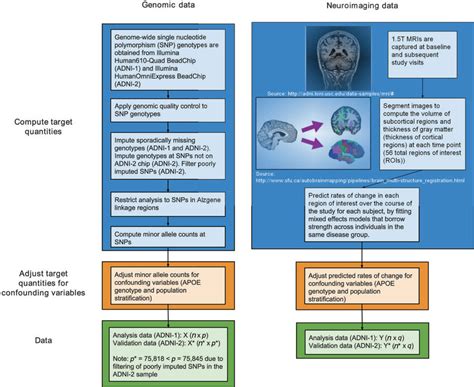 Flow Chart Of The Steps To Process The Raw Genomic And Neuroimaging Download Scientific Diagram