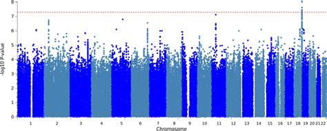 manhattan plot displaying genome wide meta analysis association results