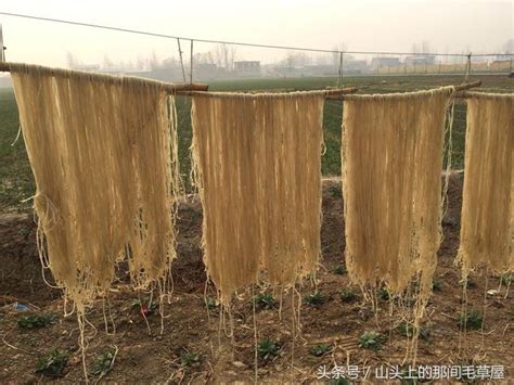 北方傳統工藝製作粉條曬乾過程看來真的是白菜燉粉條的料啊 每日頭條