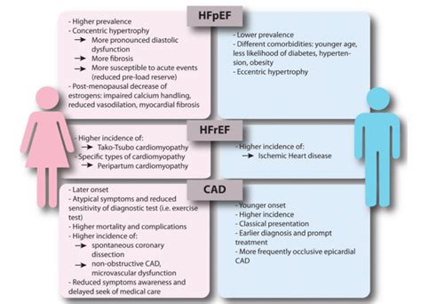 Différences sexuelles les plus importantes dans la prévalence de Download Scientific Diagram