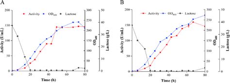 Lactase Production In Fed Batch Culture In 5 L Bioreactors A