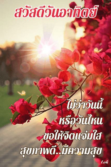 สวัสดีวันอาทิตย์  สุขสันต์วันอาทิตย์ มีความสุข สวัสดีตอนเช้า