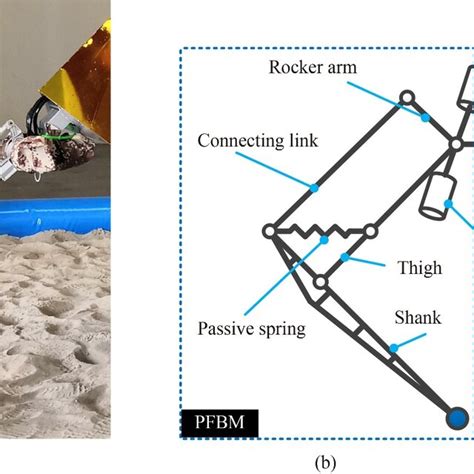 Multifunction Design During Different Phase A Buffer Landing Like A