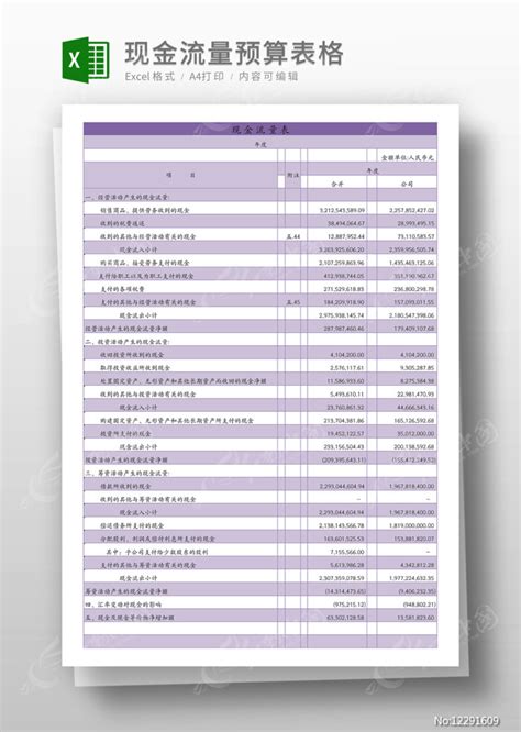 现金流量表excel模板下载 红动中国