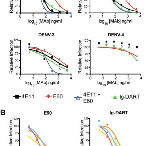 Structure And Function Of Ig Dart Antibody Fv Regions Are Download Scientific Diagram