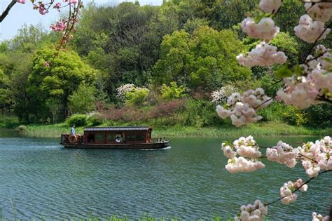 Flutter Engine 线程模型 知乎