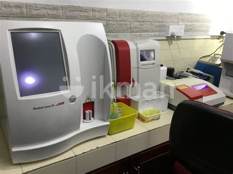 Lab Assistant Nurse Vacancy Boralesgamuwa Ikmanjobs Lab Assistant Nurse Vacancy Boralesgamuwa Ikmanjobs