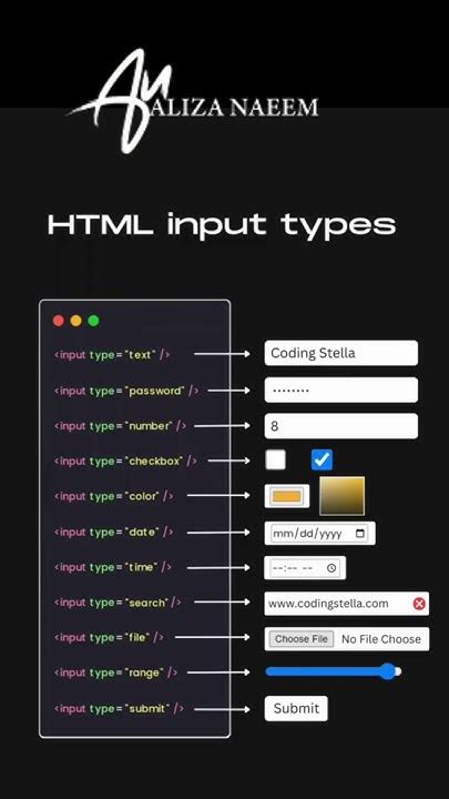 Html Input Types Explained A Beginners Guide Shorts Viral Shortvideo Youtube