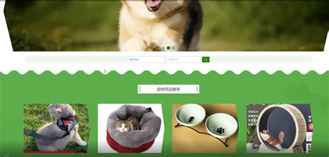 基于数据可视化springbootvue的宠物综合服务平台设计和实现源码论文部署讲解等 Csdn博客