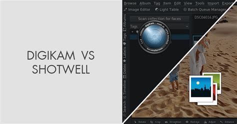 DigiKam Vs Shotwell Which Software Is Better