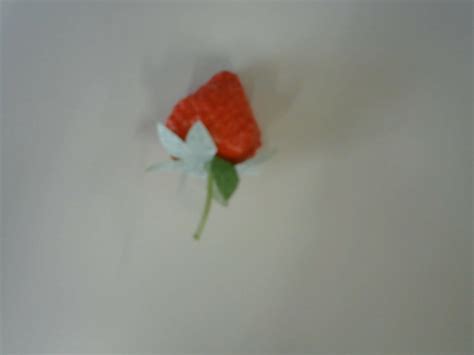 Strawberry Seg Instance Segmentation Dataset By Outdoor Strawberry