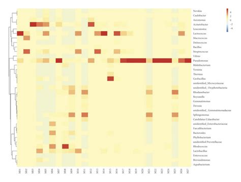 Heatmaps Of Bacterial Operational Taxonomic Unit Otu Abundance At The