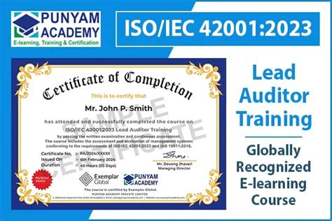 Iso 42001 Consultant