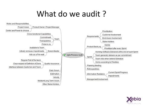 Agile Process Audit Pdf