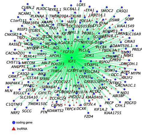 Rarazbtb16 Fusion Protein Semantic Scholar