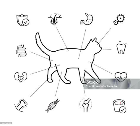 고양이에 대 한 활력 아이콘 세트입니다 윤곽선 아이콘은 확장 가능하고 편집 가능합니다 개에 대한 스톡 벡터 아트 및 기타 이미지